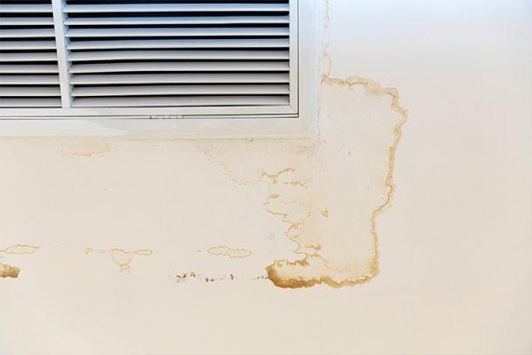 Eliminate Mold in Your HVAC System: Tips and Solutions
